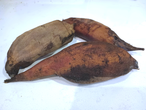 Yacon syrup, yacon powder, yacon tea, and freeze dried yacon