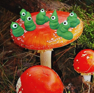 Seven Oaks Market: freeze dried candy, other specialty foods